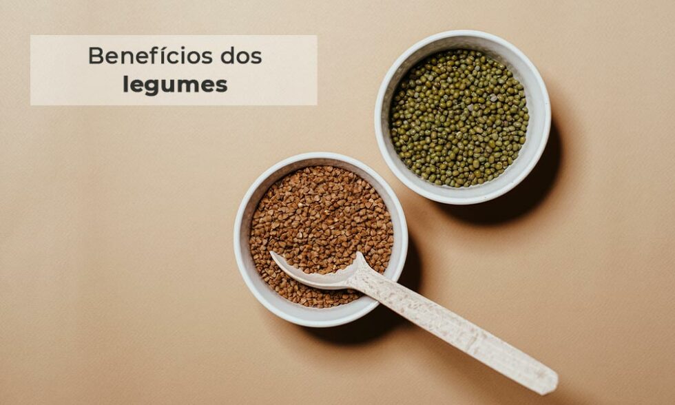 A lista de legumes completa - Escola ELBS Portugal